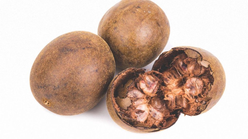 What is Monk Fruit Sweetener? | Real Balanced